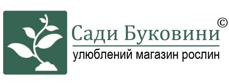 Інтернет-магазин саджанців та рослин «Сади Буковини» - Бізнес новини ...